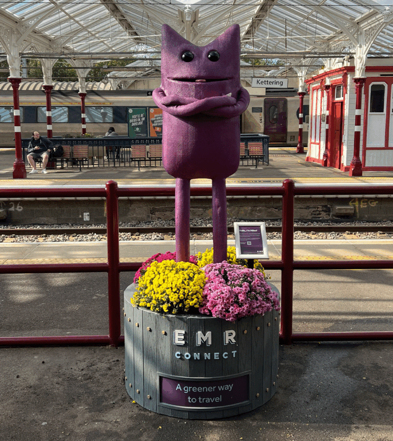 EMR Connect’s Miles | EMR | m360